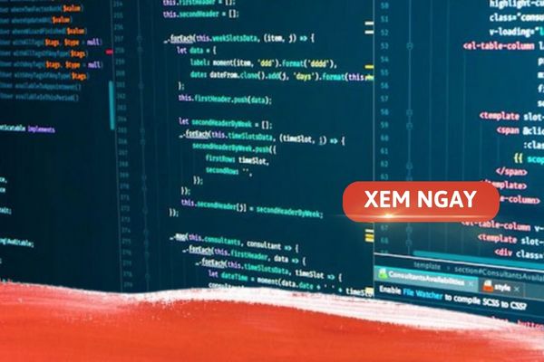 Làm Coder thì học ngành gì? Tiềm năng phát triển nghề Coder 2023